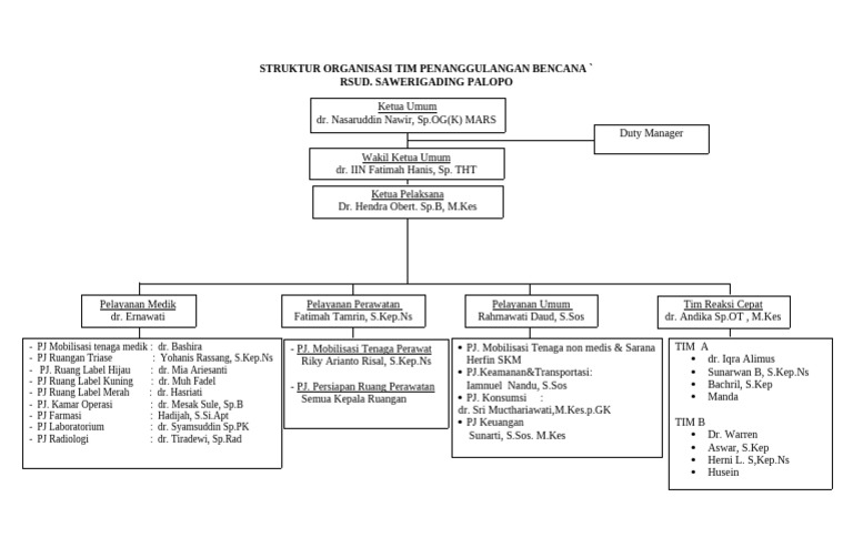 Struktur Organisasi Tim Bencana RSUD Palopo | PDF