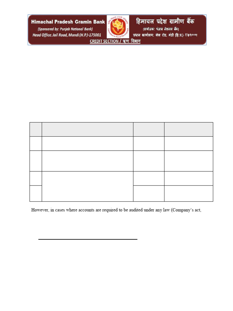 Audited Balance Sheet Guidelines for Borrowers | PDF | Taxes | Audit