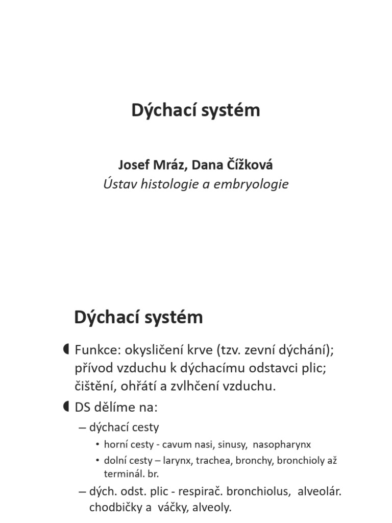 Dychaci System 2022 | PDF