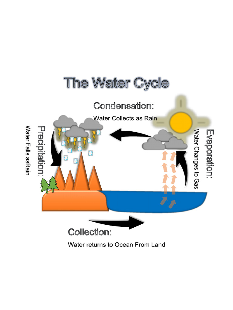 Compulsory Ice Task 2 (TNST) | PDF