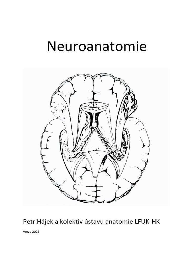 CNS-tistena Verze2025 | PDF