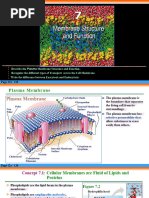 Plasmalemma Structure and Function | PDF | Cell Membrane | Biophysics