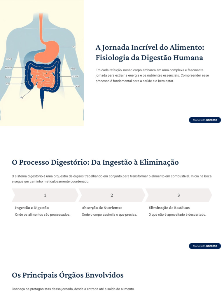 Fisiologia da Digestão Humana Explicada | PDF | Digestão | Intestino ...