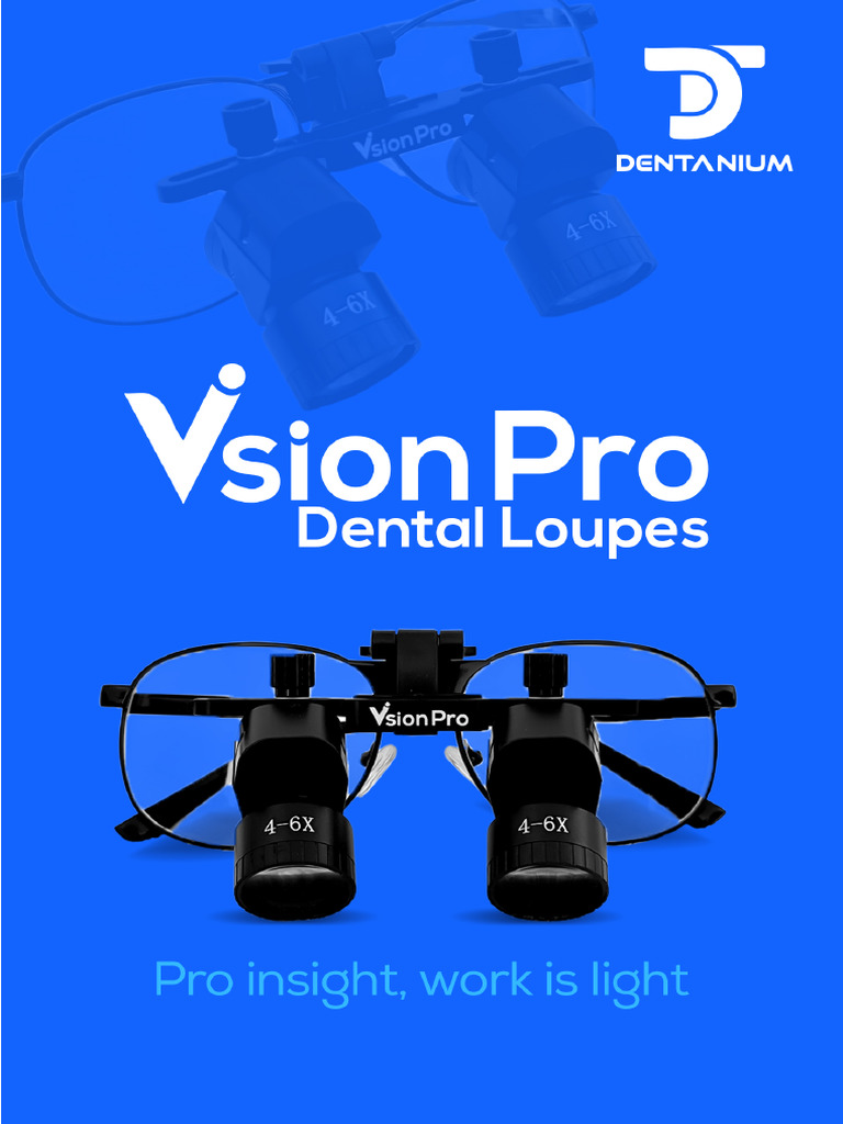 Vision Pro 3 | PDF