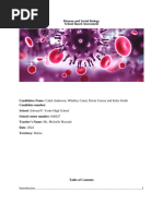HSB SBA Marking Criteria Overview | PDF | Data | Scientific Method
