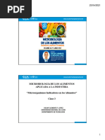 Detección de Coliformes Totales en Alimentos | PDF | Alimentos | Biología