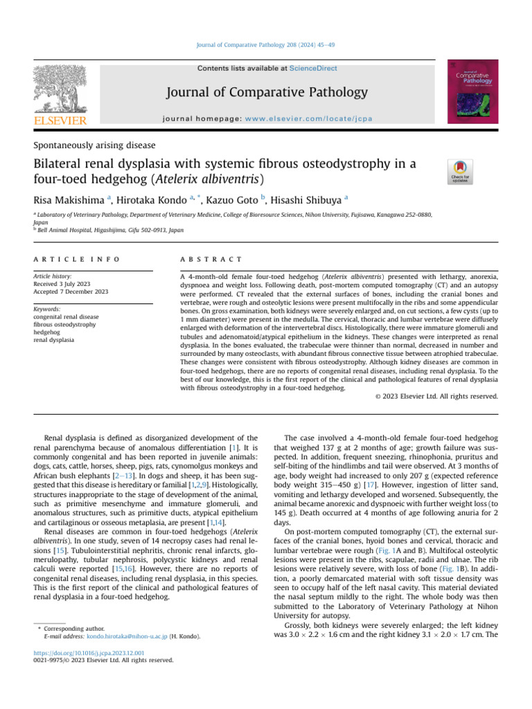 Bilateral Renal Dysplasia With Systemic Fibrous Osteodystrophy in A ...