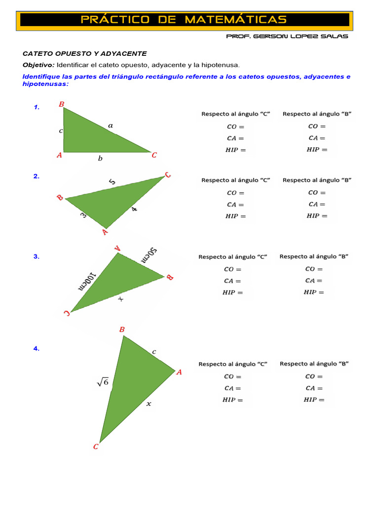 Practico de Triangulos - Catetos - Razones y Pitágoras | PDF ...