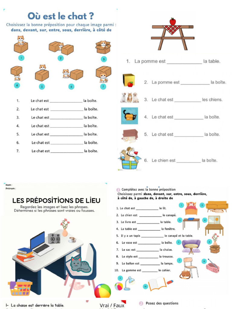 French Prepositions Worksheet | PDF
