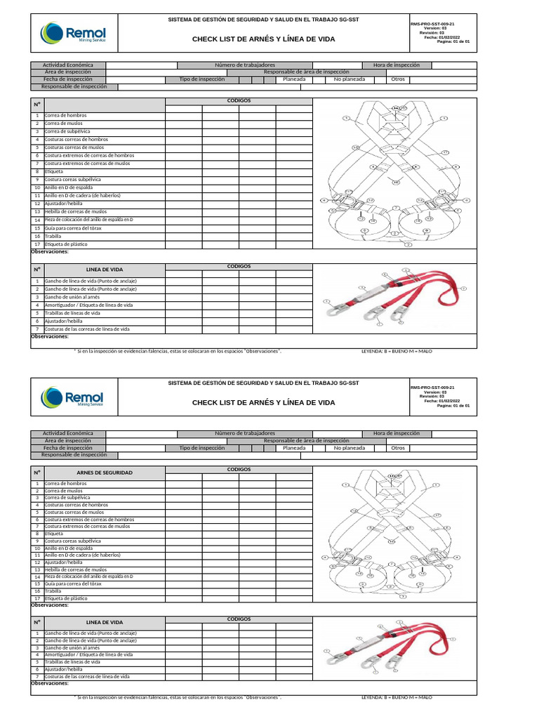 PRO-SST-009-21 Check List de Arnes y Linea de Vida | PDF