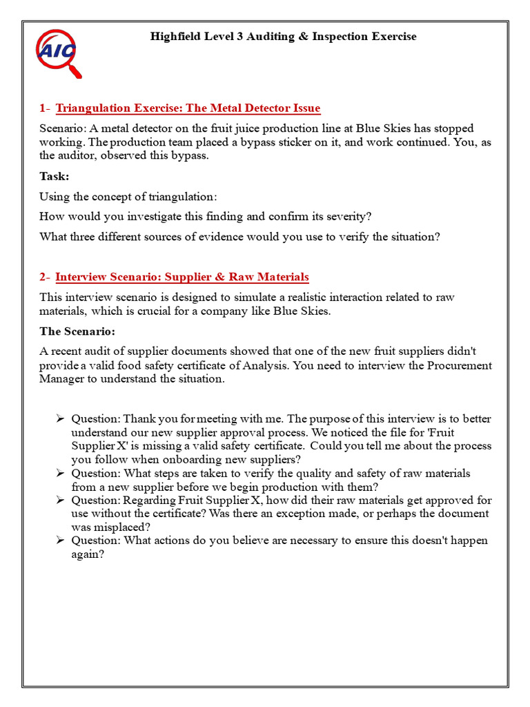 l3 Audit & Inspection Exercise 2 | PDF