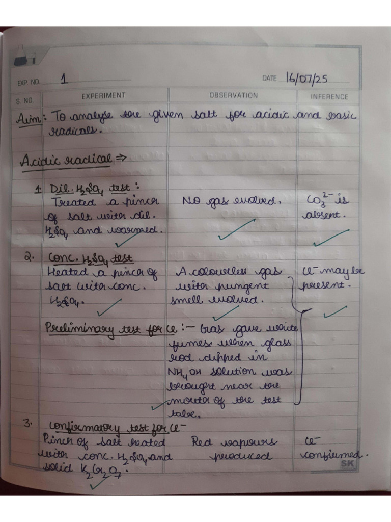 Chem Practical (1) 2 | PDF