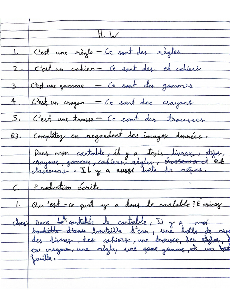 Rayan French Homework | PDF
