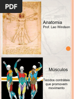 Nomes de 100 Músculos Do Corpo Humano | PDF | Sistema Locomotor ...