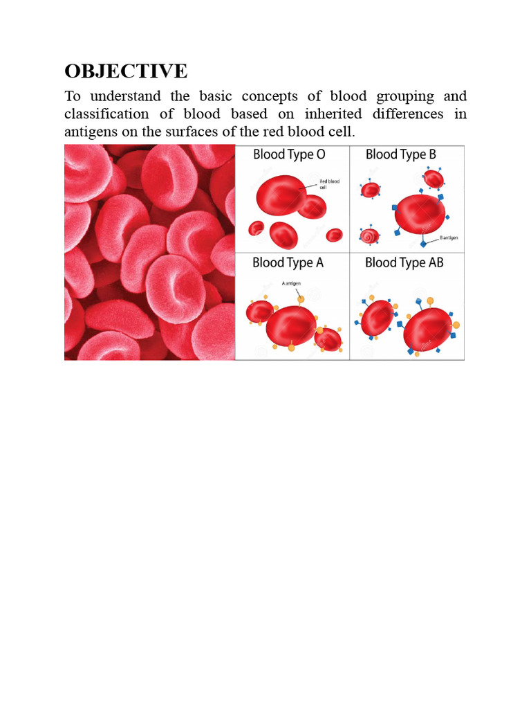 Blood Group Identification Using Antisera | PDF | Blood Type | Antibody