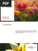 Grade 7 Flower Parts Worksheet | PDF