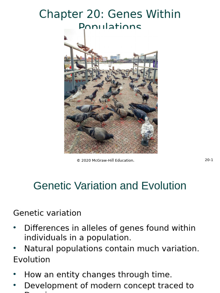 Genetic Variation and Evolutionary Change | PDF | Natural Selection ...