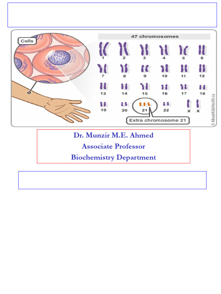 Understanding Chromosome Abnormalities | PDF | Down Syndrome | Genetic ...