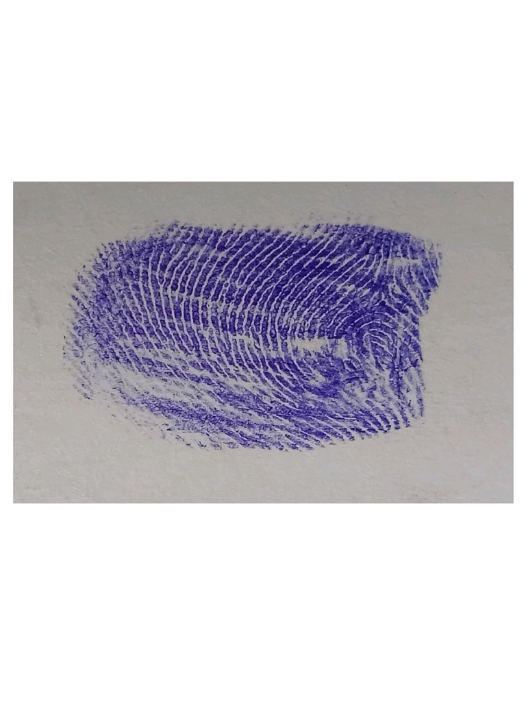 .trashed-1756694985-PDFGallery 20250714 155732 | PDF