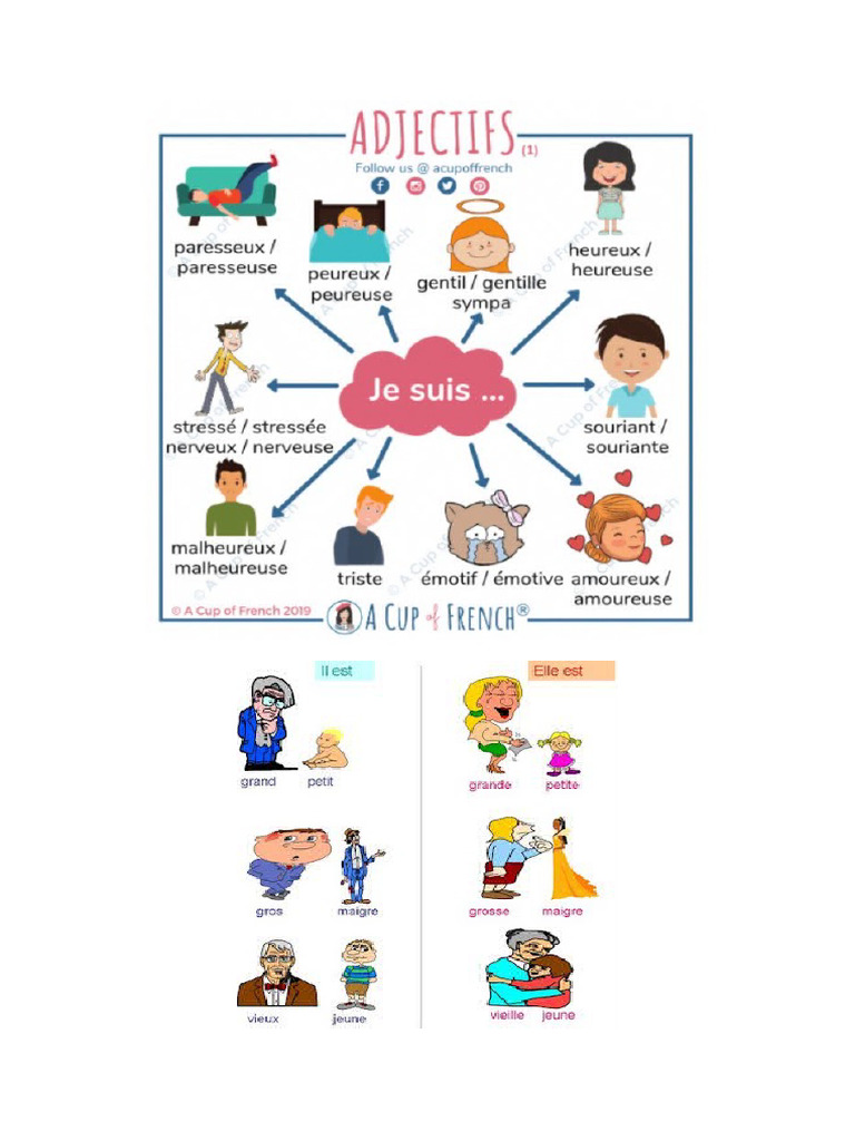 Adjectifs ETRE Clase Demostrativa | PDF