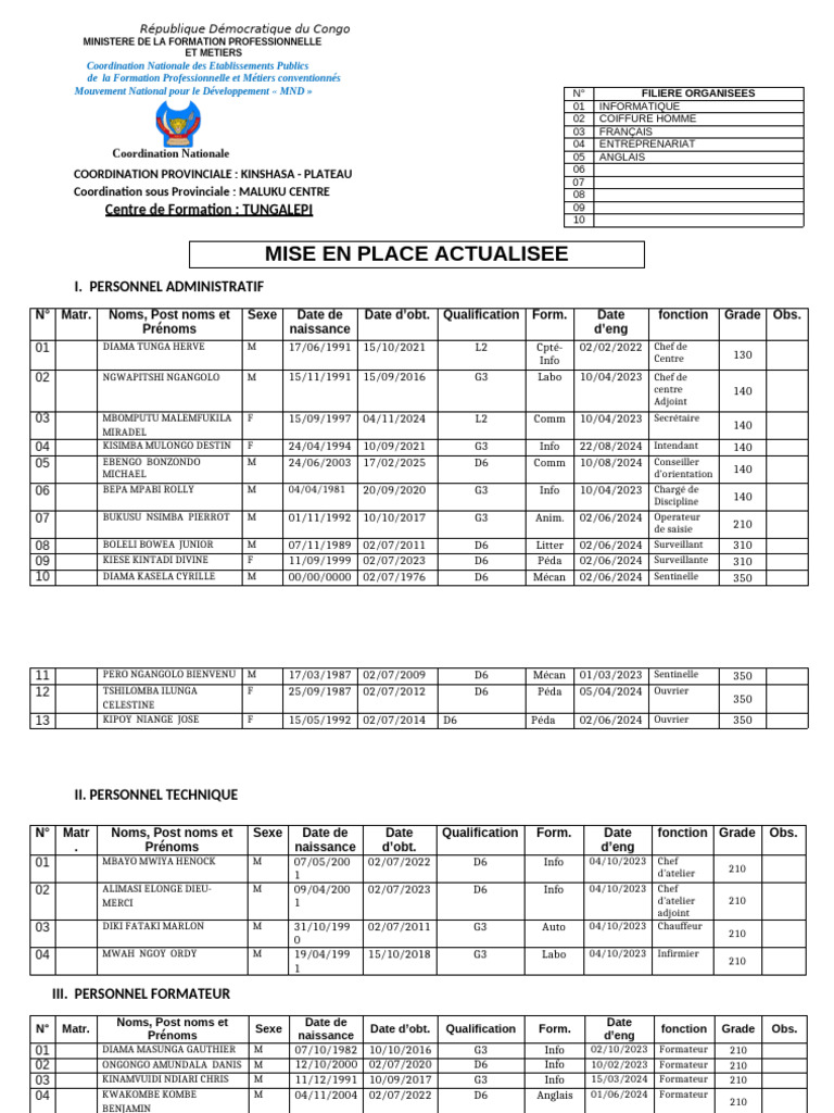 Questionnaire Tenafep 2023 RDC | PDF