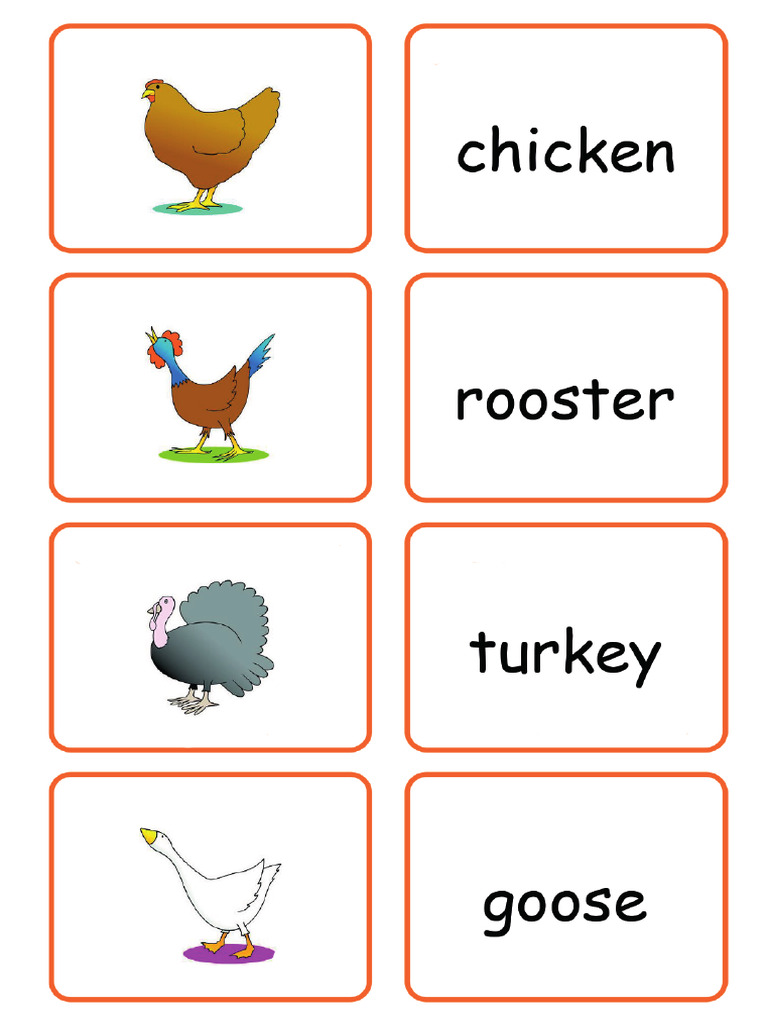 Flashcards Farm Animals 1 | PDF