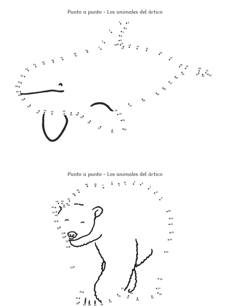 Punto A Punto Animales Del Artico | PDF