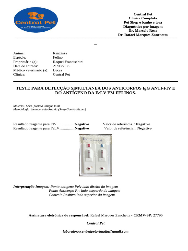 6 Laudo Fiv Felv | PDF