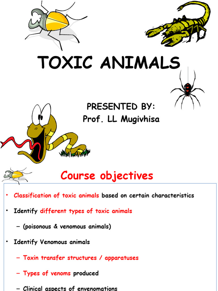 Understanding Toxic Animals and Venoms | PDF | Venom | Poison