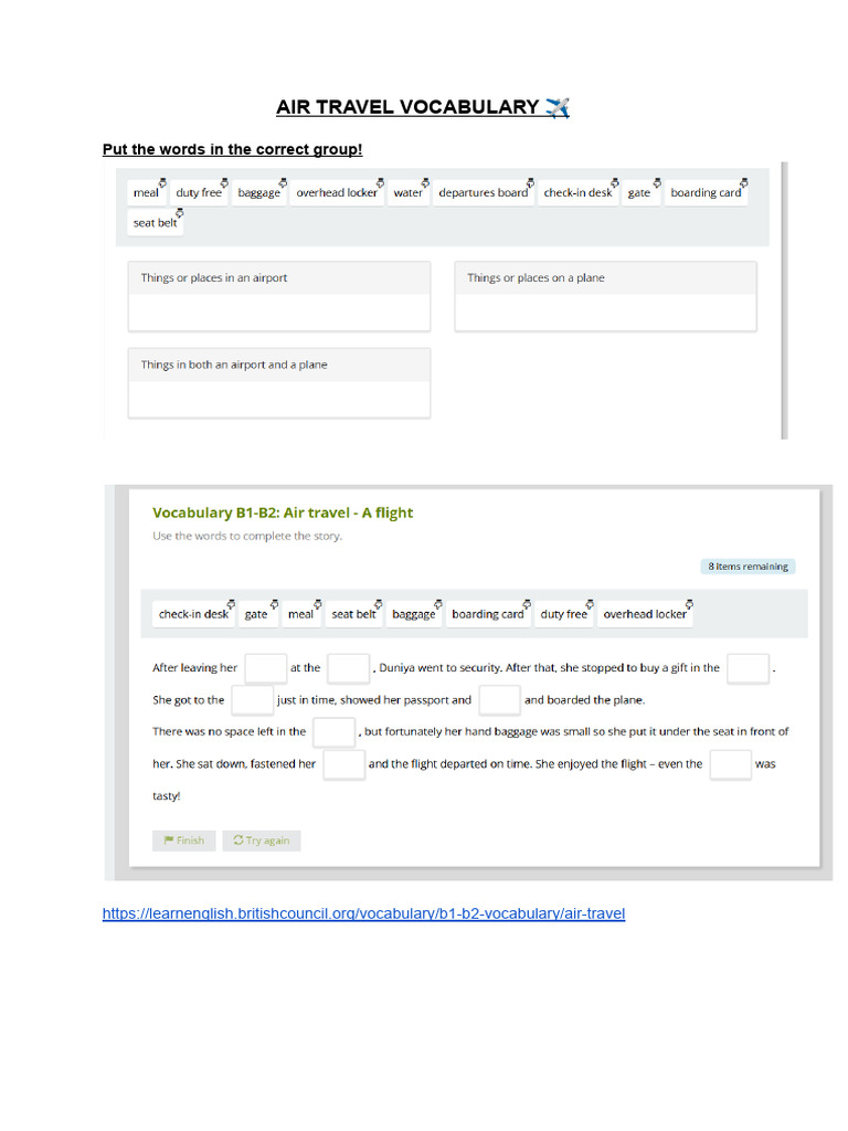 Air Travel Vocabulary | PDF