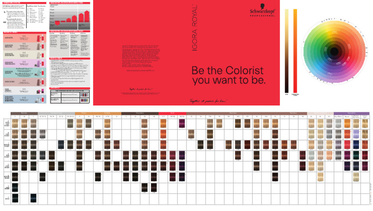 IGORA Royal Swatch Chart Guide | PDF | Brown | Blond