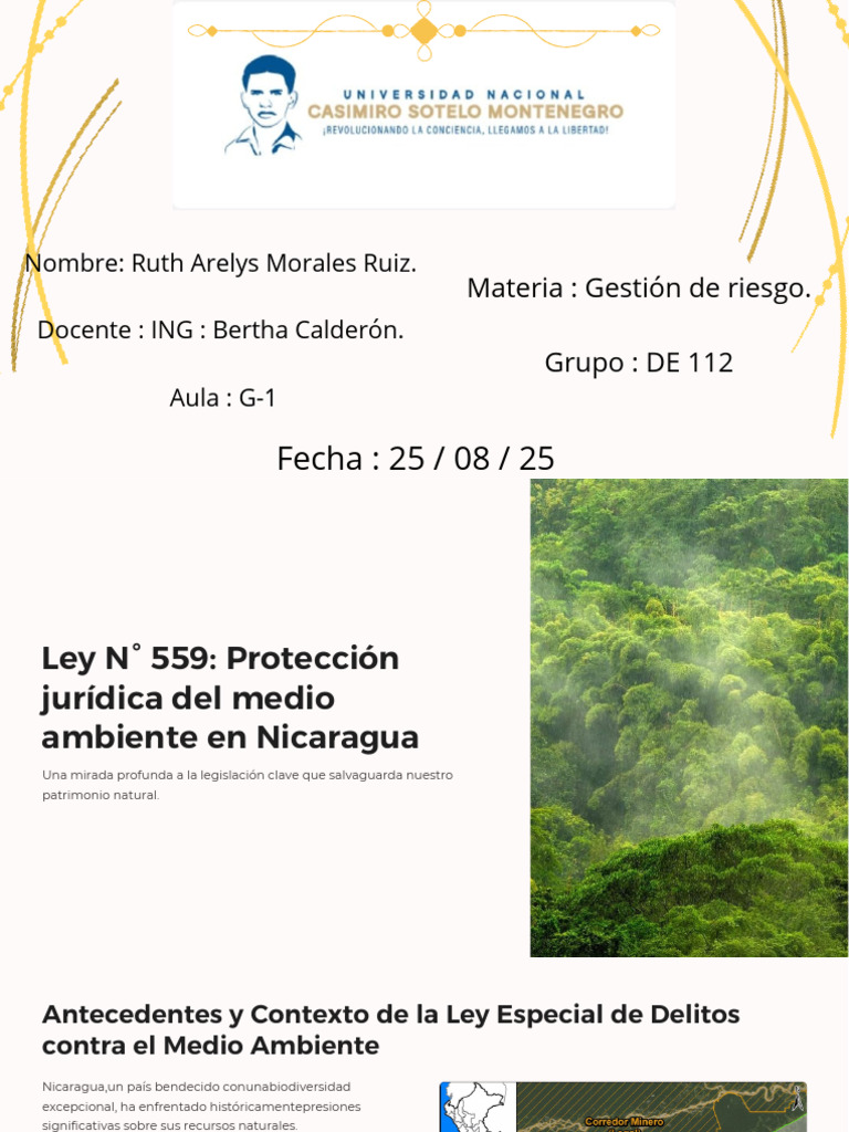 Ley N 559 Proteccion Juridica Del Medio Ambiente en Nicaragua - PDF ...