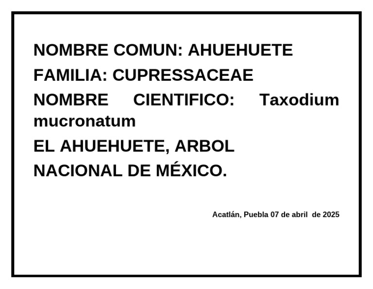 Nombre Comun | PDF