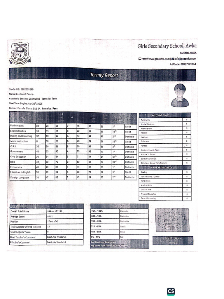 Ferdinand Peace Chisom Sss2 Results | PDF