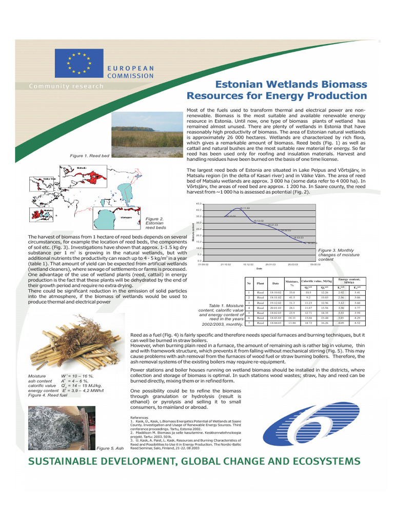 Estonian Reed Biomass Energy Potential | PDF | Wetland | Estonia