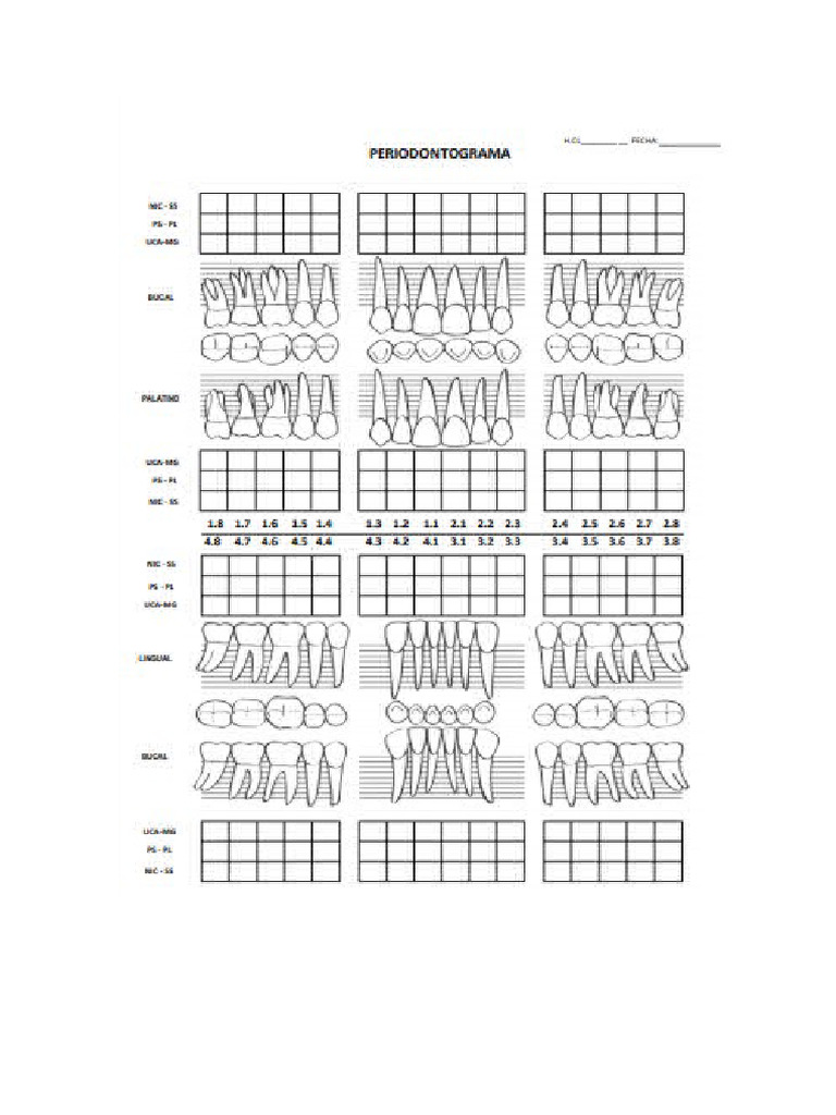 Peridontograma | PDF