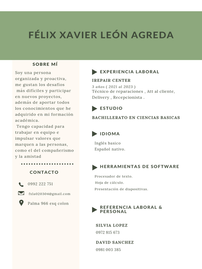 Felix Leon Cv | PDF