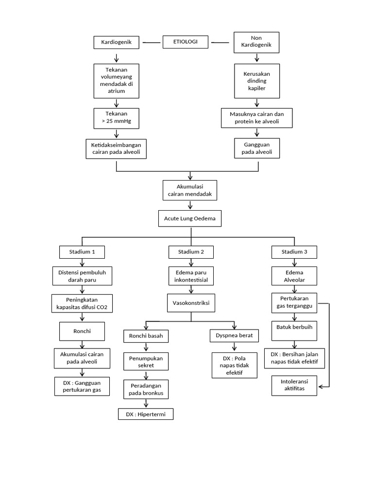 Woc Alo | PDF
