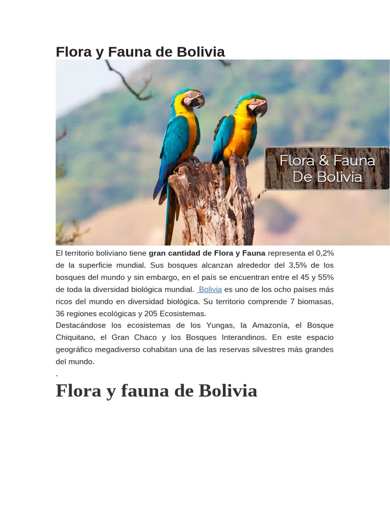 Biodiversidad de Flora y Fauna en Bolivia | PDF | Selva amazónica