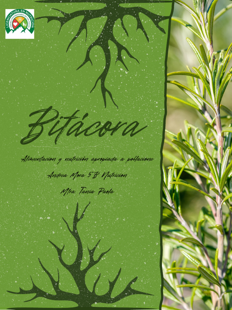 Bitacora 1 | PDF
