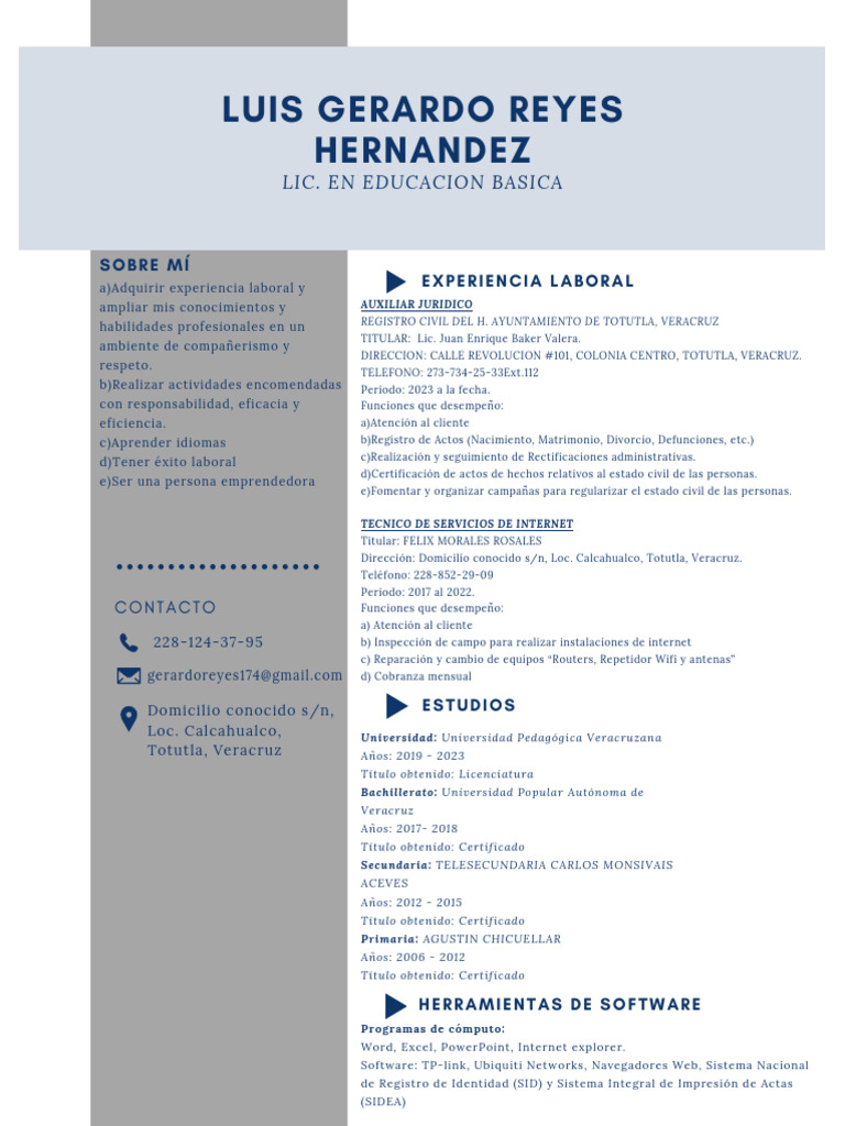 Curriculum Luis Gerardo | PDF | Informática