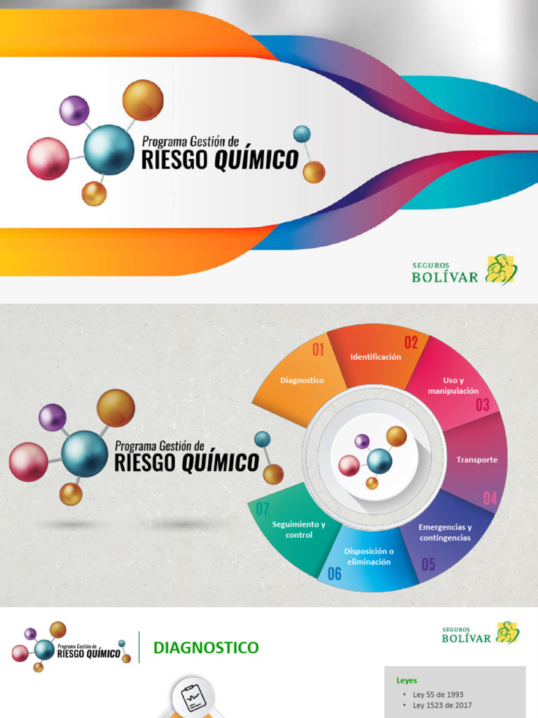 2.presentacion Programa Químico | PDF