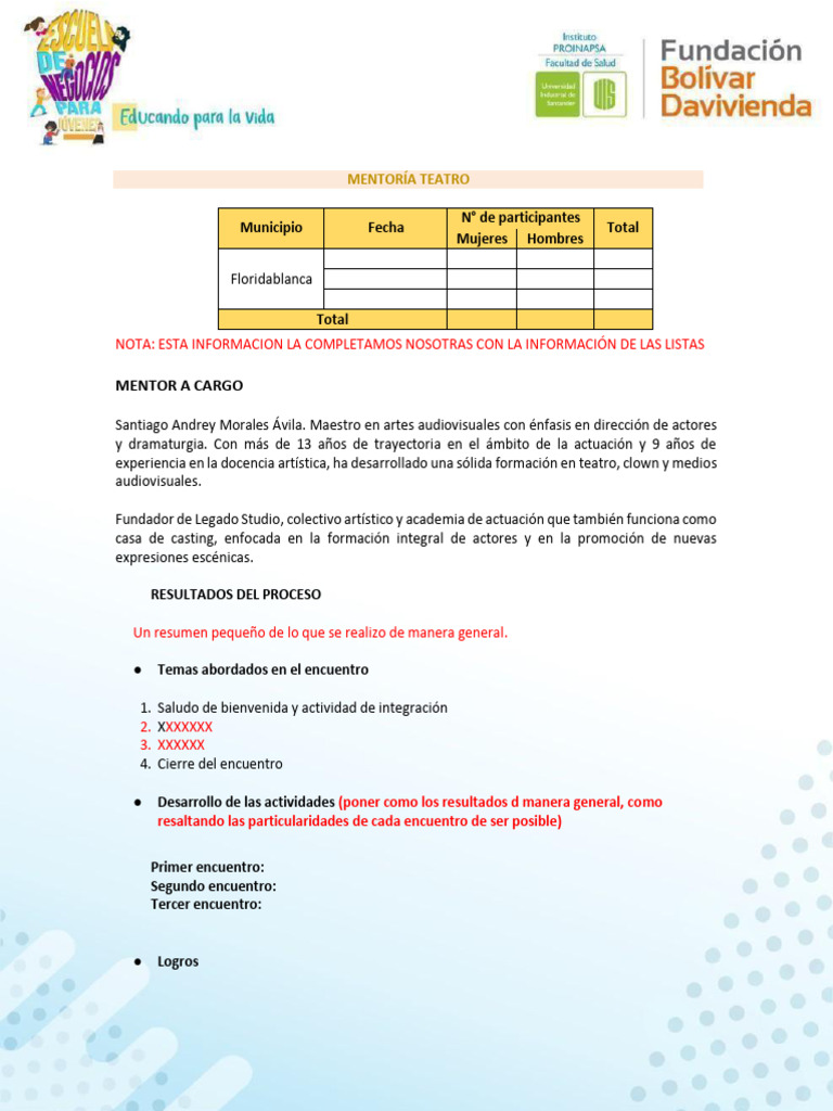 Modelo Informe Mentoria | PDF