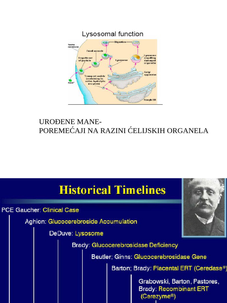 Lizozomi 1 | PDF