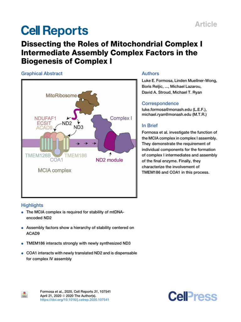 Formosa Et Al 2020 Cell Reports | PDF | Mitochondrion | Western Blot