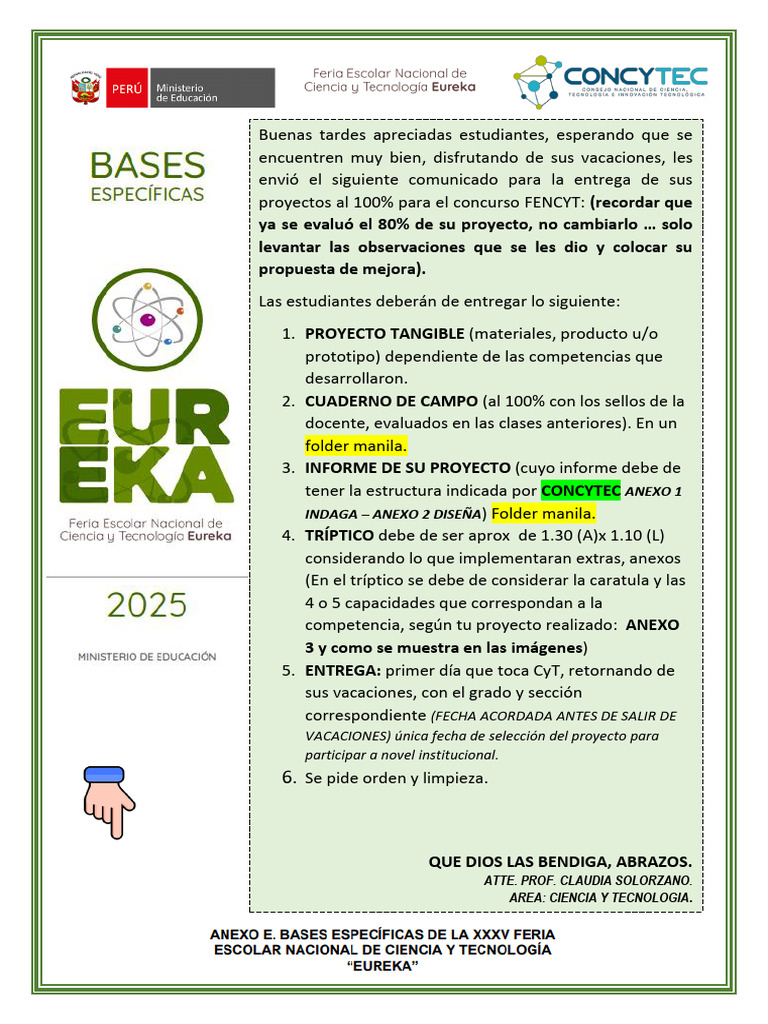 Proyecto Fencyt 2025 - Cyt | PDF