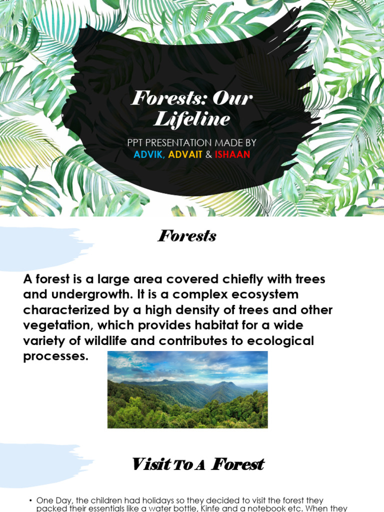 Forests: Our Lifeline Presentation | PDF