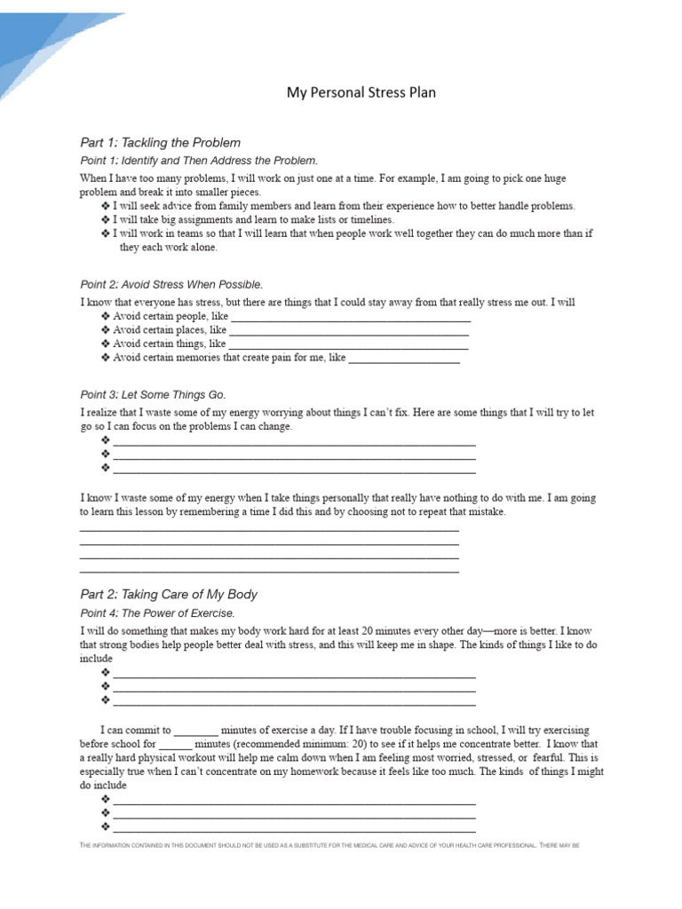 BR3 My Personal Stress Plan | PDF | Eating | Meal