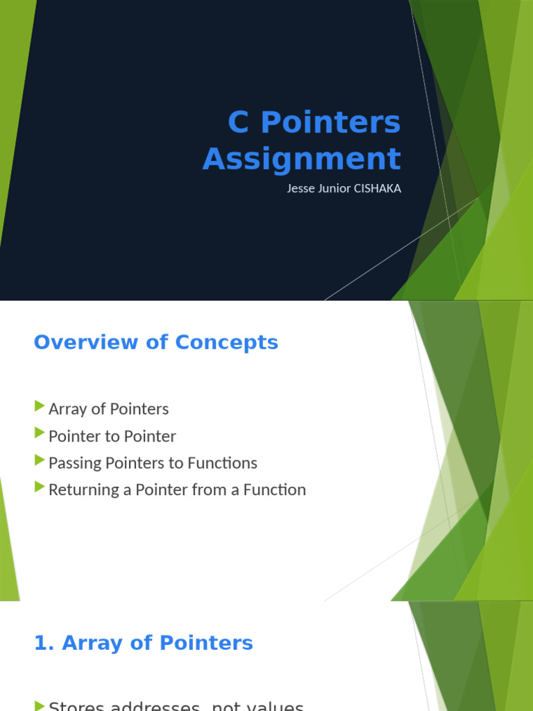C Pointers Assignment | PDF
