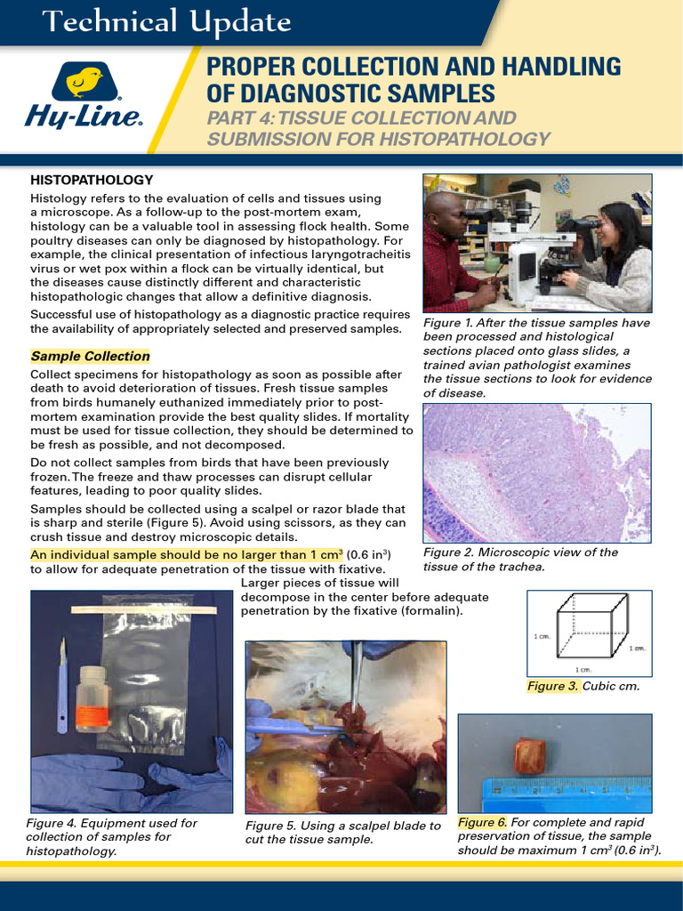 Proper Collection and Handling of Diagnostic Samples | PDF ...
